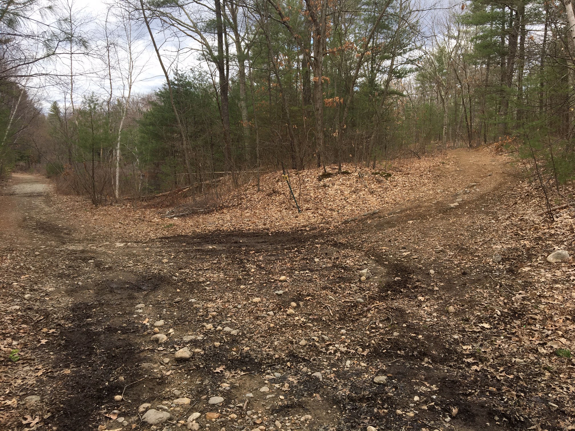 Hudson Conservation Trails | Hudson New Hampshire