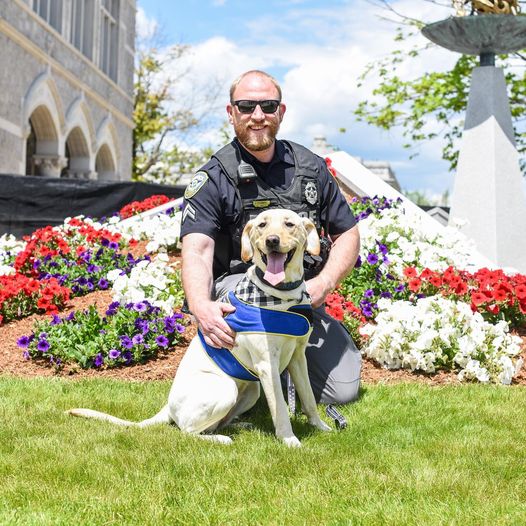 Hudson Police Comfort Dog | Hudson New Hampshire